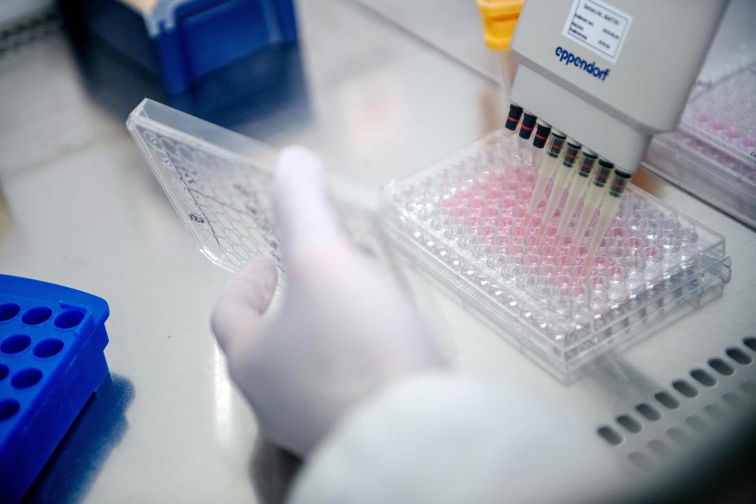 Silvestrol, ein neuer natürlicher Wirkstoff gegen gefährliche Viren ...